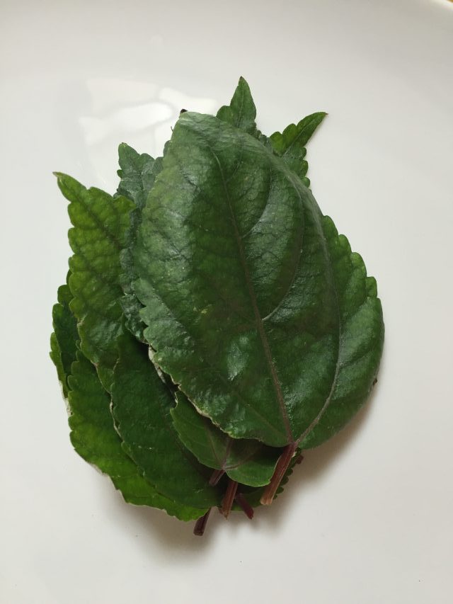 ママキティー - Nanamua.com