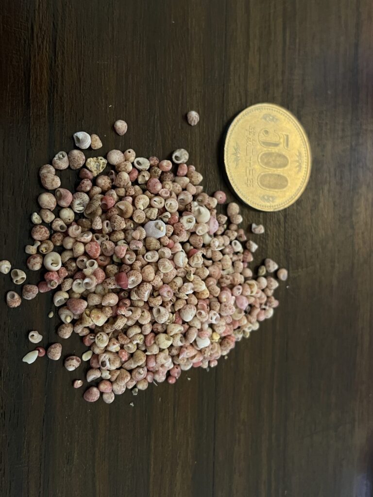 ニイハウシェルアクセサリー とは(その壱) - Nanamua.com